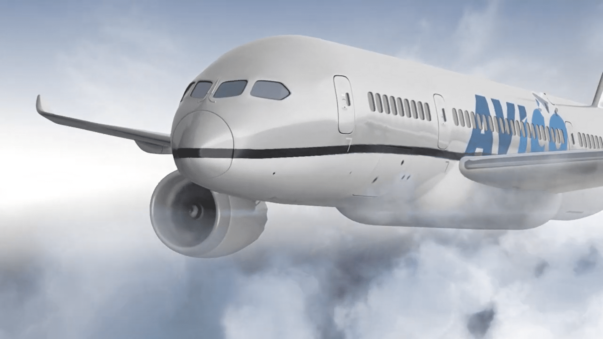 Témoignage location d'avion - Avico