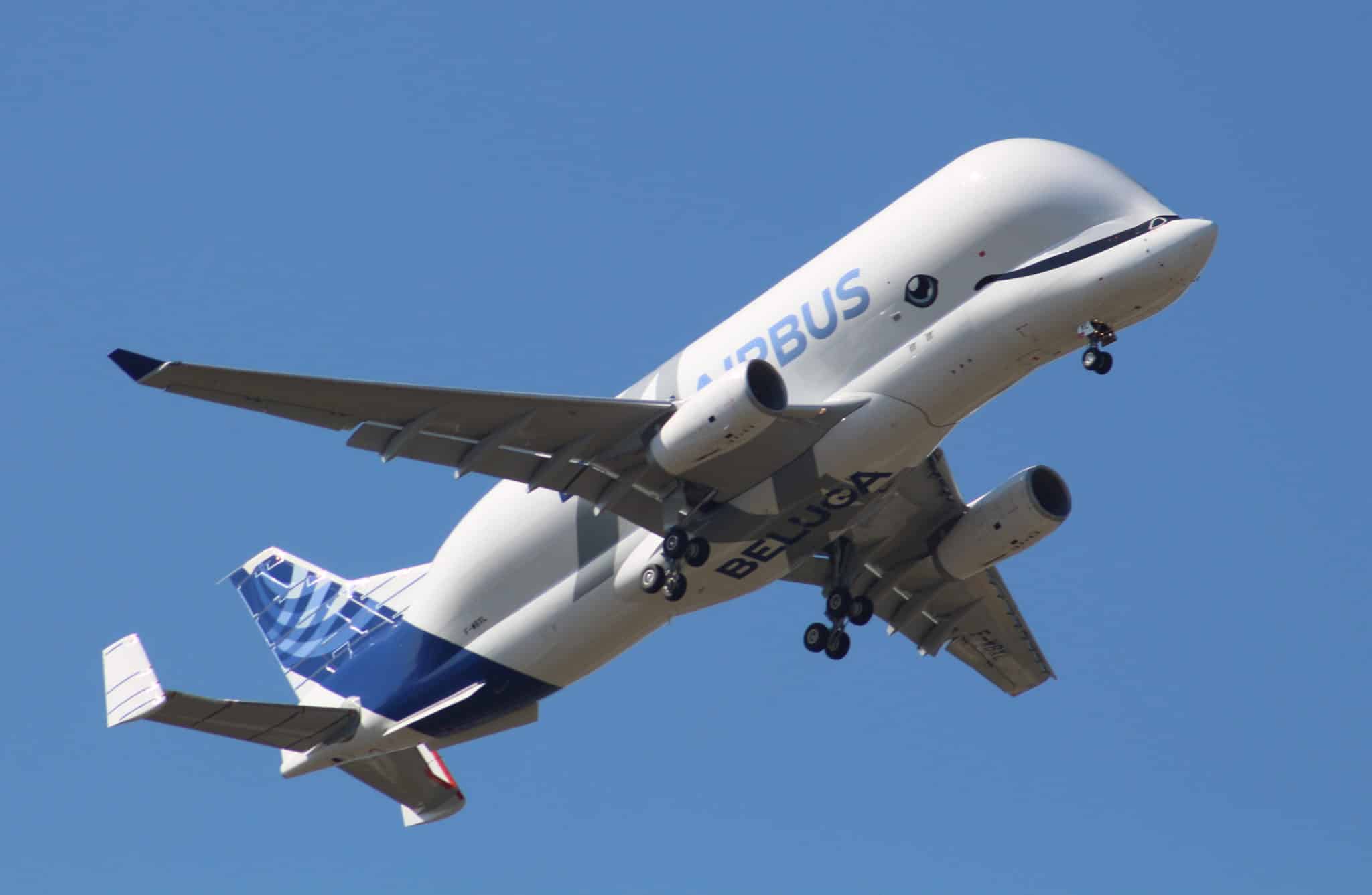 Airbus Beluga : l’avion cargo géant l’Airbus - Avico
